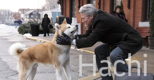 รีวิวหนัง Hachi | ฮาจิ แด่หัวใจหมาด้วยหัวใจคน