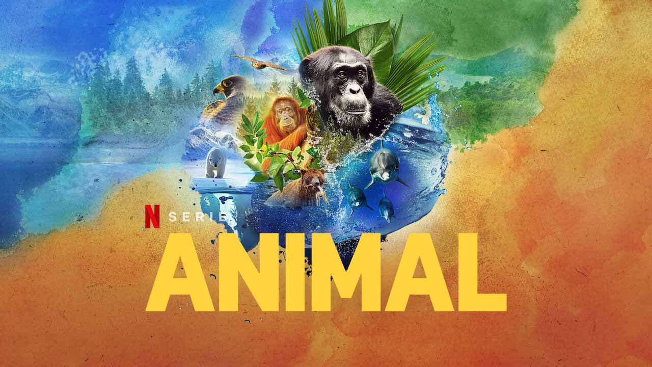 รวม 10 ซีรีส์สารคดีเกี่ยวกับสัตว์โลก ที่น่าสนใจ ใน Netflix