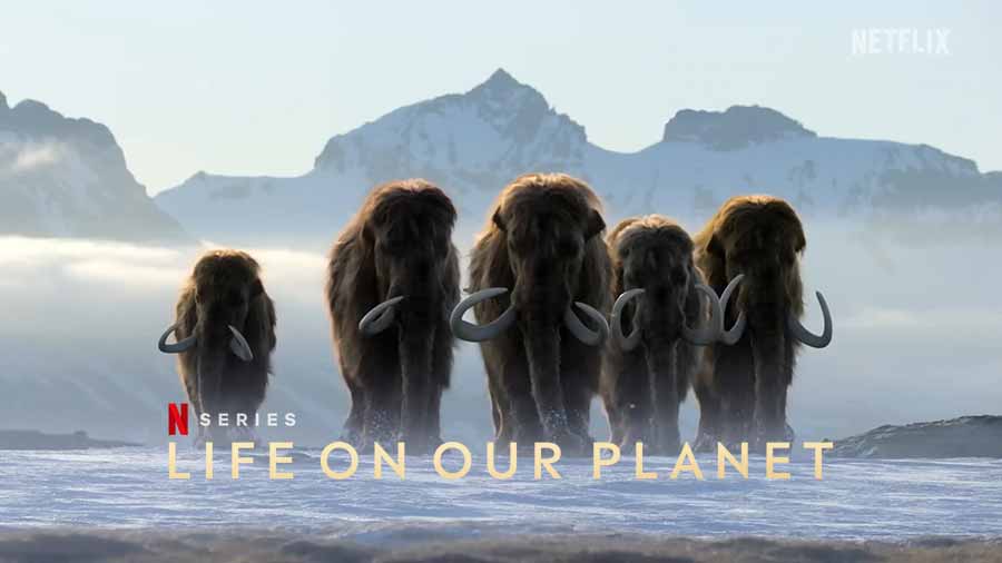 รวม 10 ซีรีส์สารคดีเกี่ยวกับสัตว์โลก ที่น่าสนใจ ใน Netflix