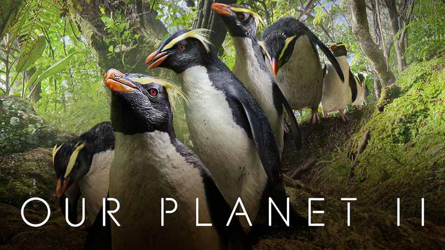 รวม 10 ซีรีส์สารคดีเกี่ยวกับสัตว์โลก ที่น่าสนใจ ใน Netflix