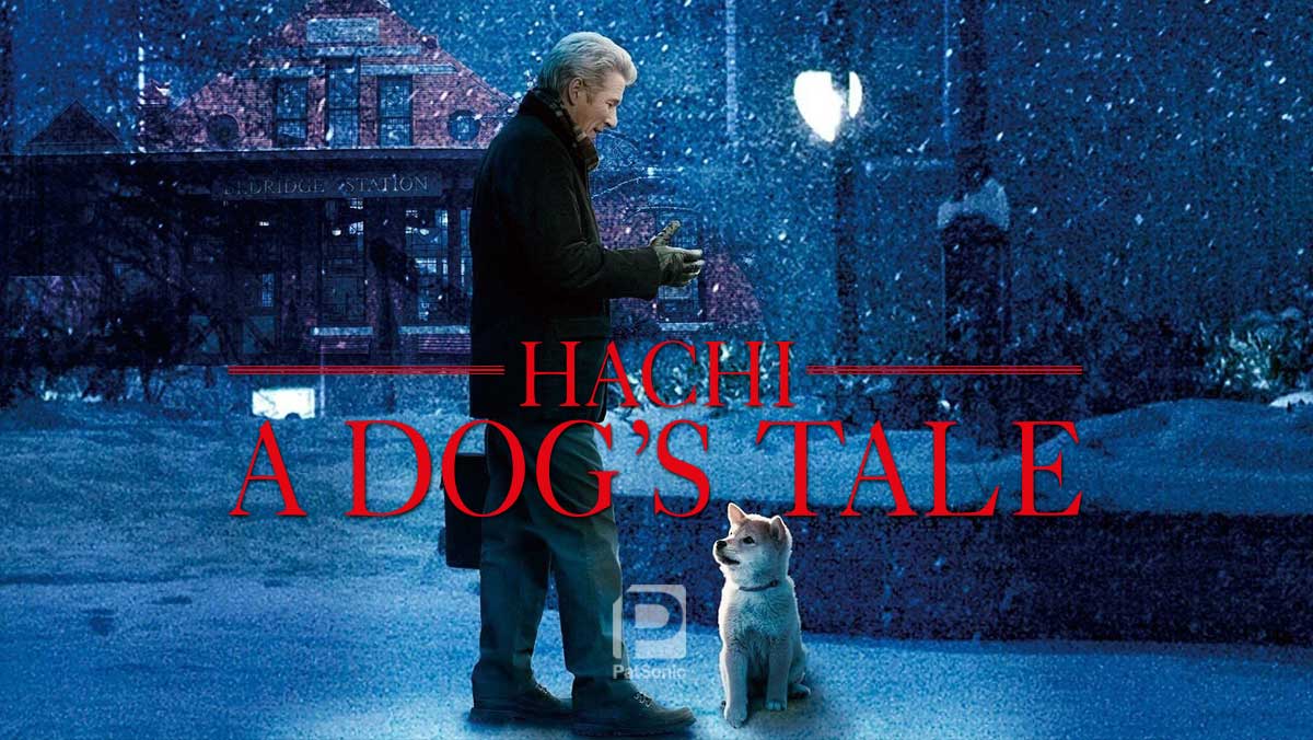 รีวิวหนัง Hachi | ฮาจิ แด่หัวใจหมาด้วยหัวใจคน