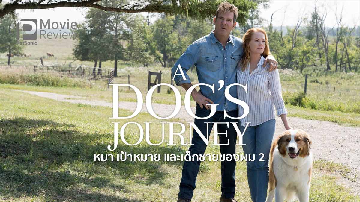 รีวิวหนัง A Dog’s Journey | น้ำตาไหลไปกับหมา เป้าหมาย และเด็กชายของผม 2