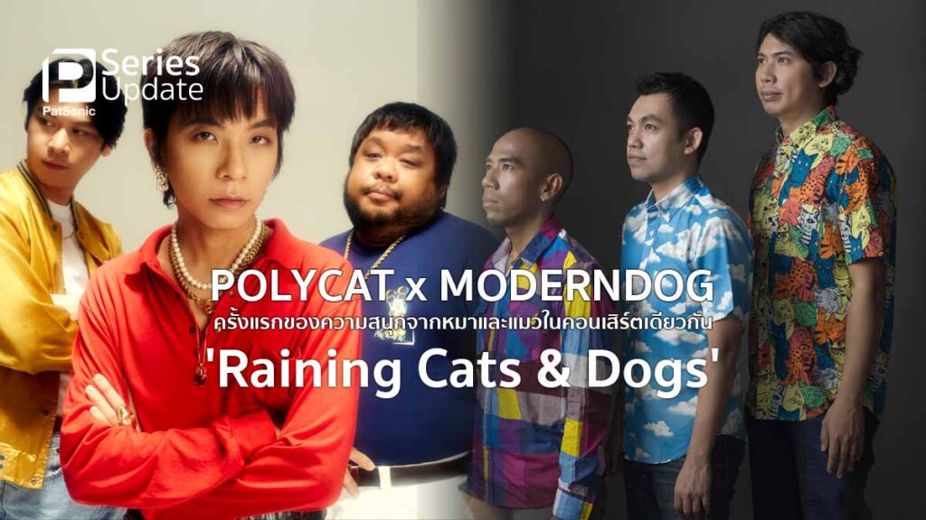 POLYCAT x MODERNDOG ครั้งแรกของความสนุกจากหมาและแมว ในคอนเสิร์ตเดียวกัน 'Raining Cats & Dogs'